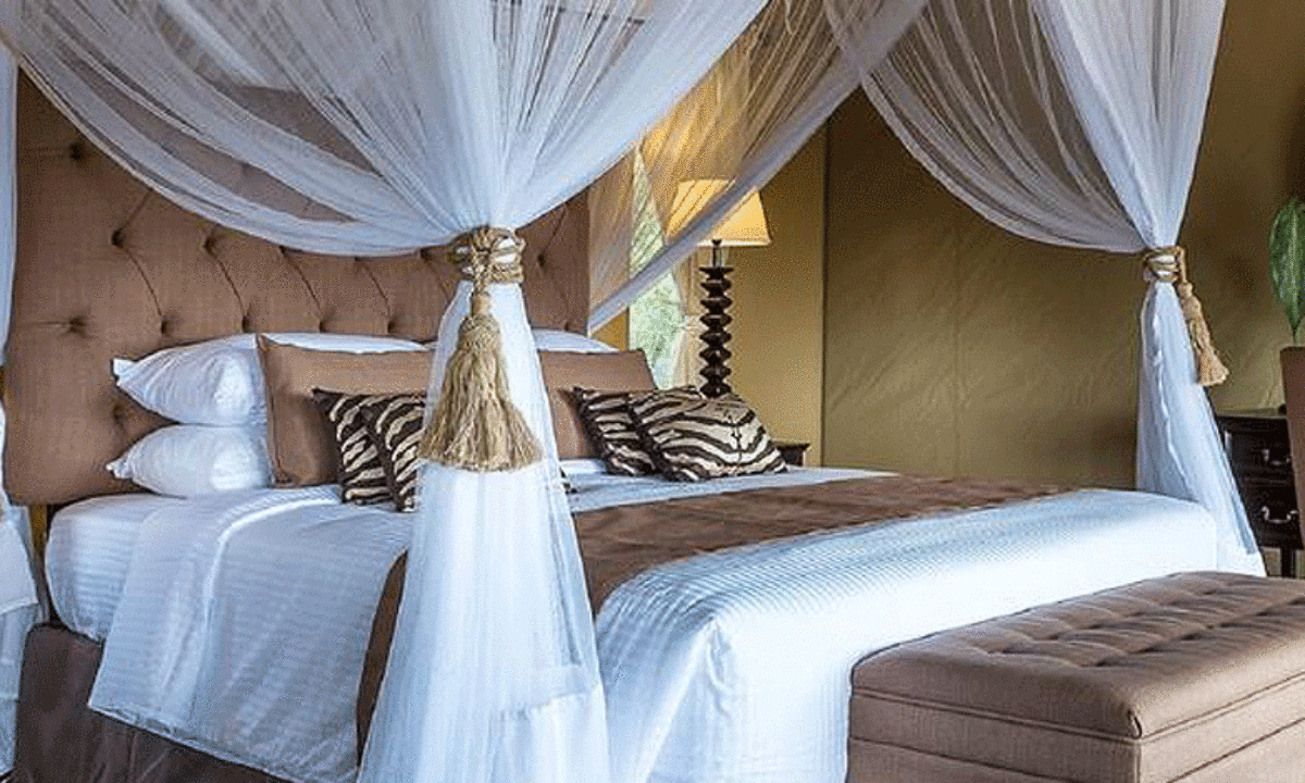 🏕️Jambo Mutara Camp – Laikipia’s Hidden Safari Paradise - Virtuous ...